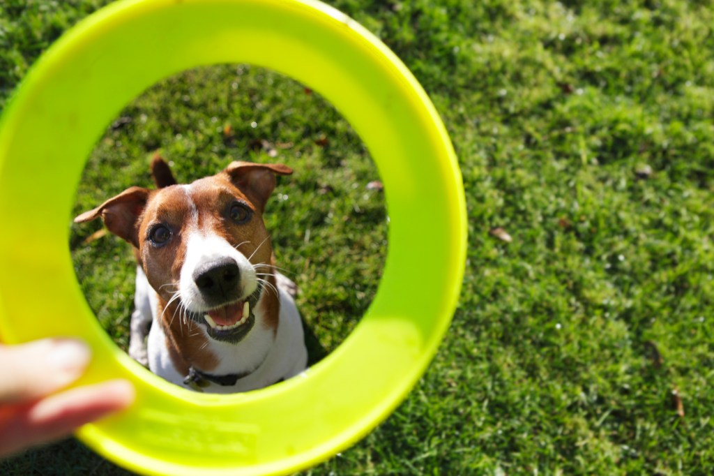 Pet Circle - Forbes Australia
