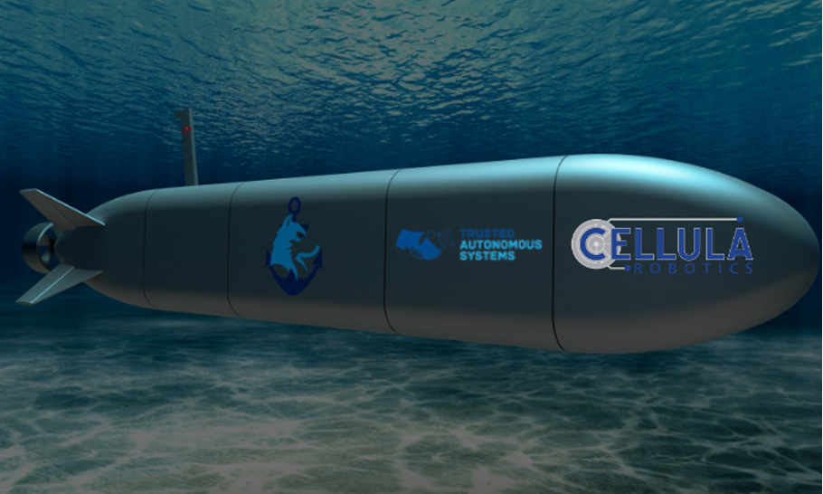A swarm of Aussie-built robotic subs coming to an ocean near you