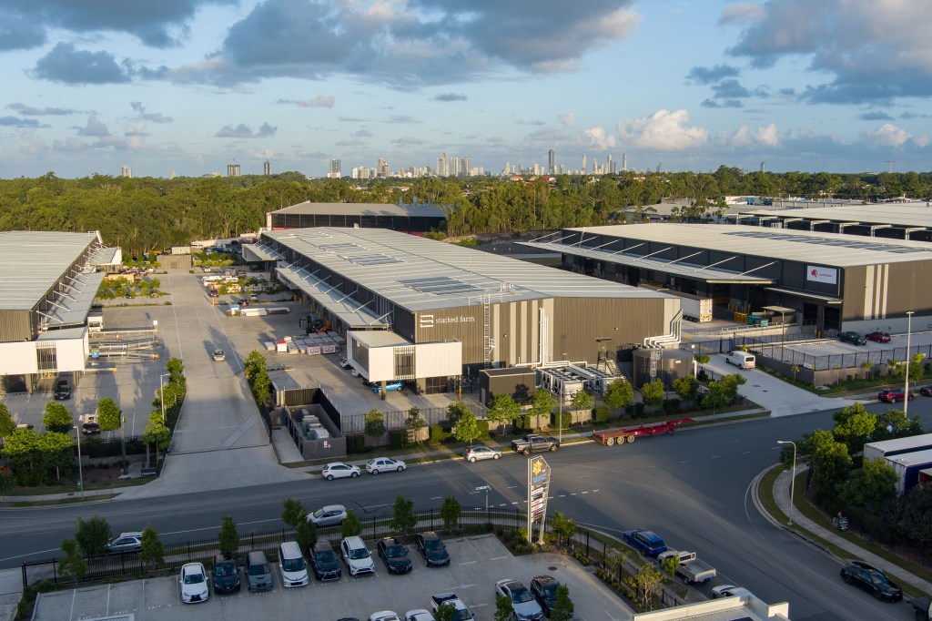 Inside Stacked Farm's robotic vertical farm