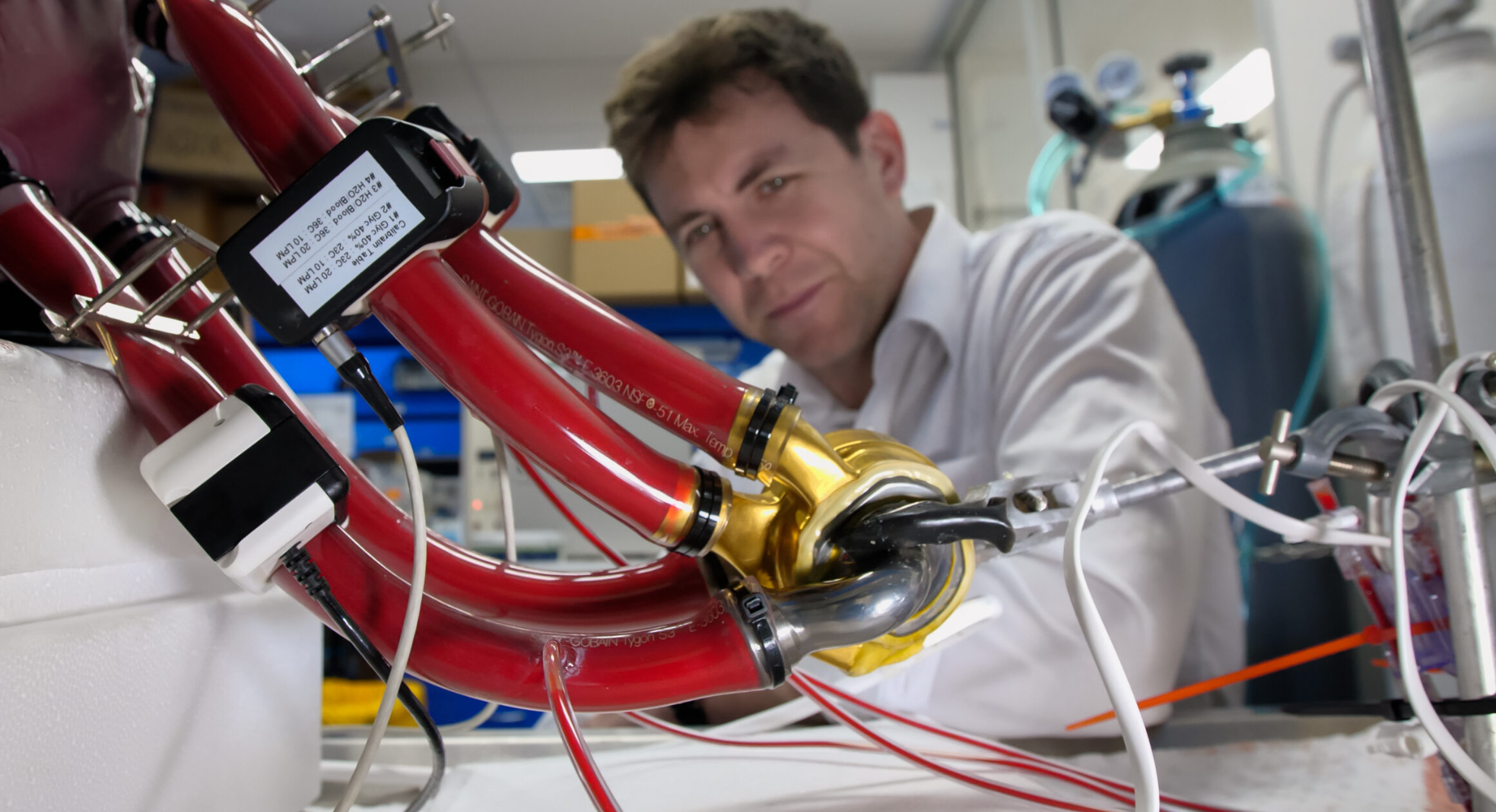 Canva Magic Studio, Bivacor heart: Best inventions 2024 revealed