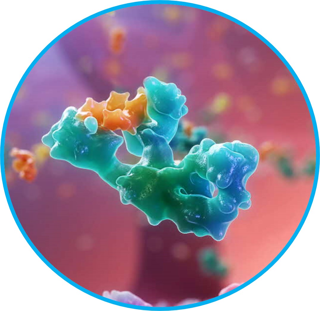 The billion-dollar gamble: Megan Baldwin’s vision to revolutionise eye ...