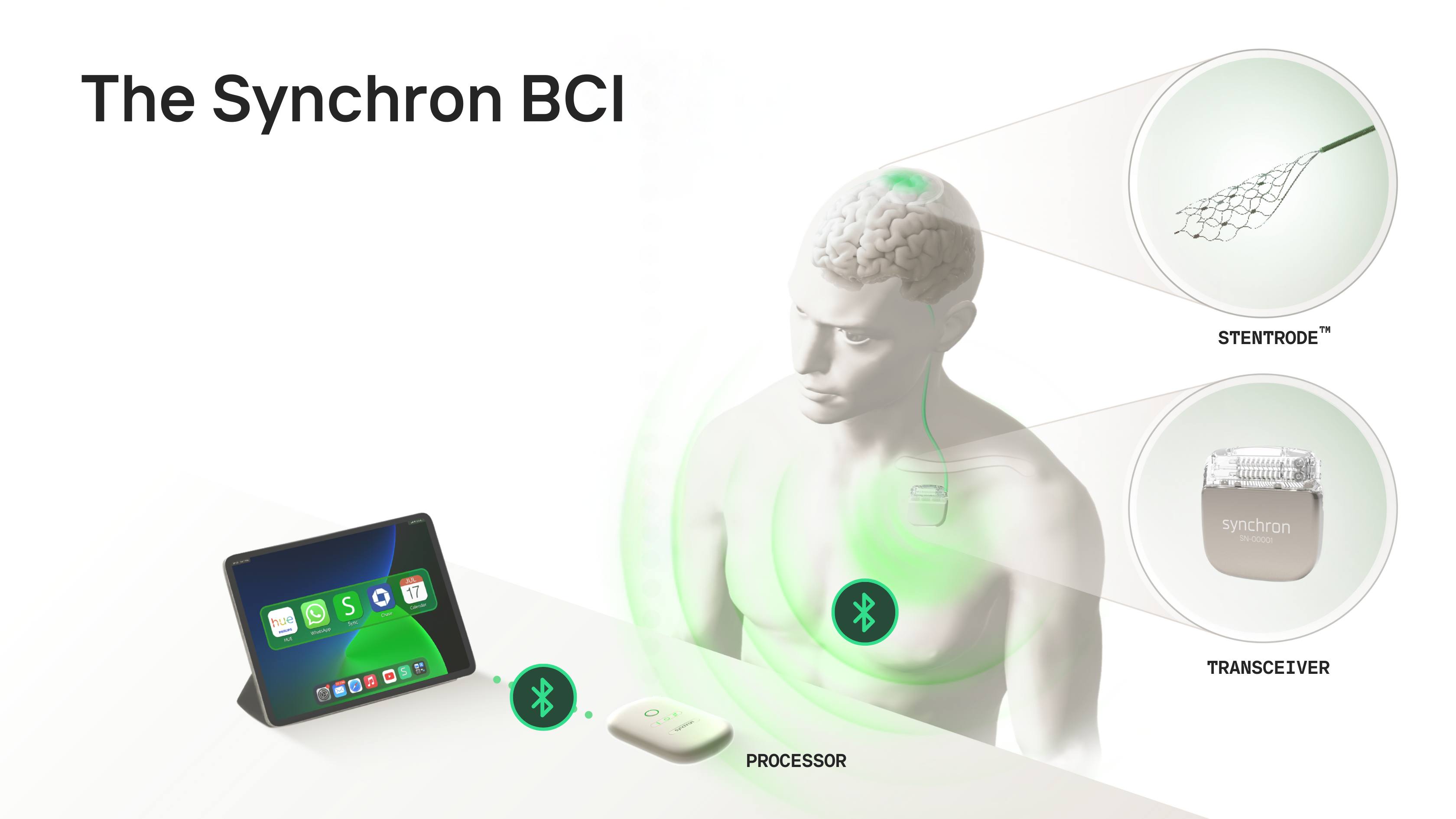 NVIDIA, Synchron team up to train AI directly from human brain