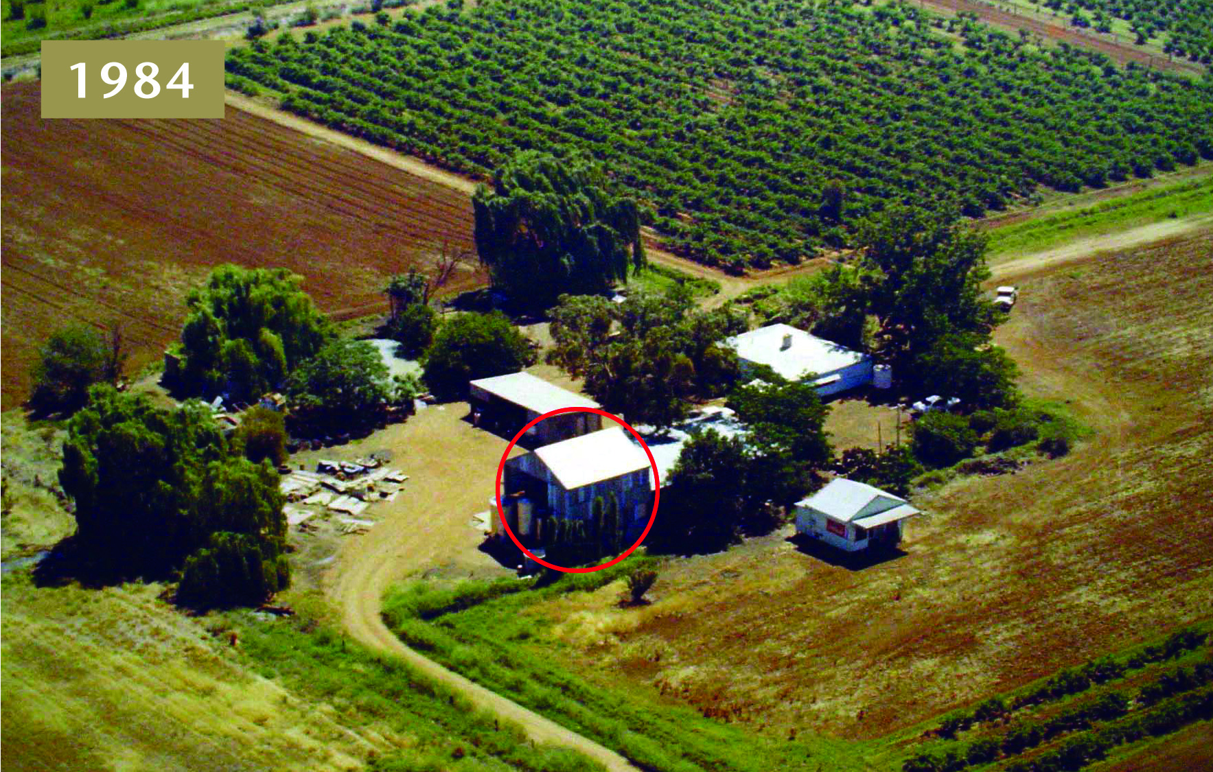 How John Casella built the billion-dollar brand, Yellow Tail