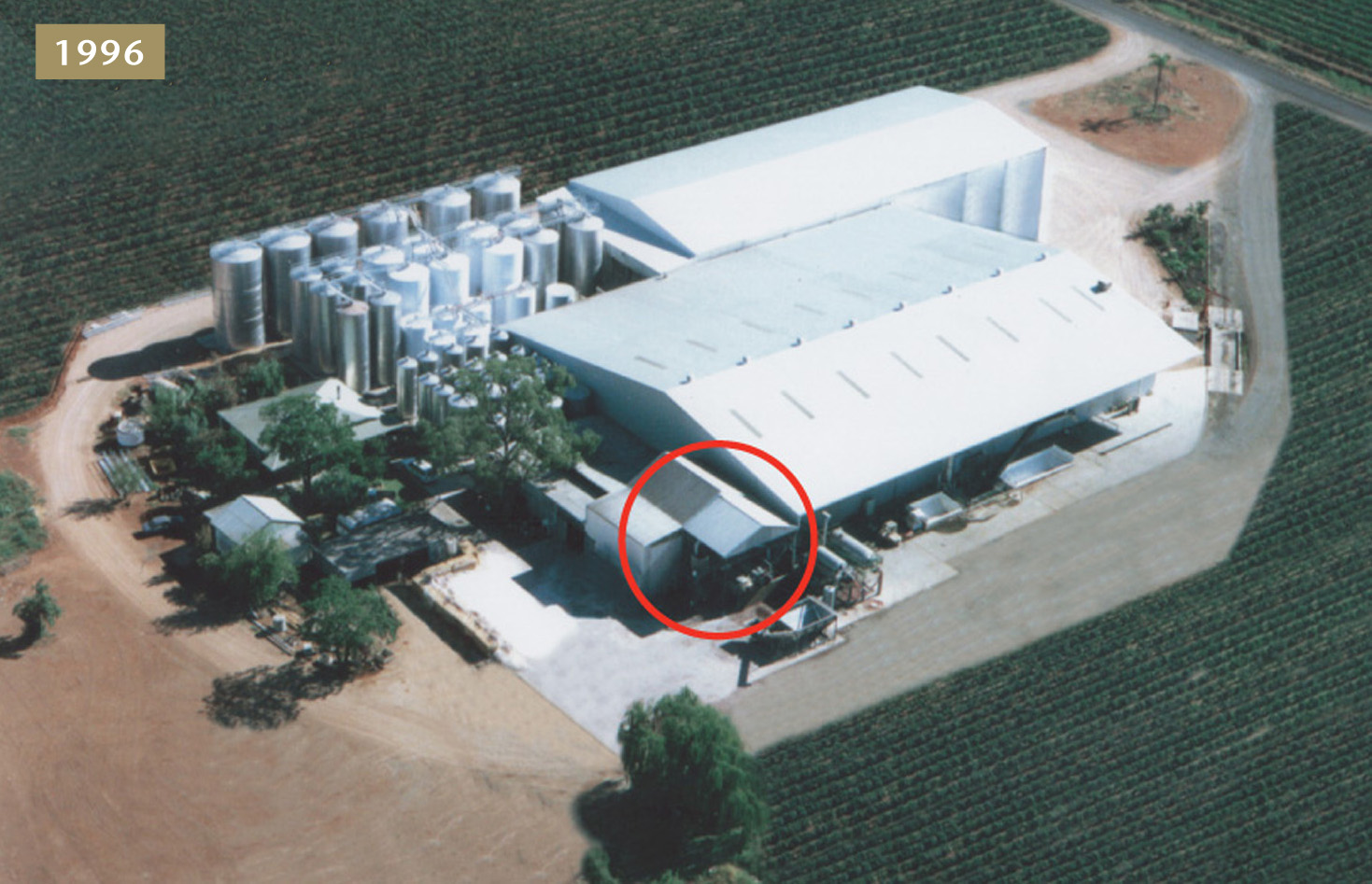 How John Casella built the billion-dollar brand, Yellow Tail