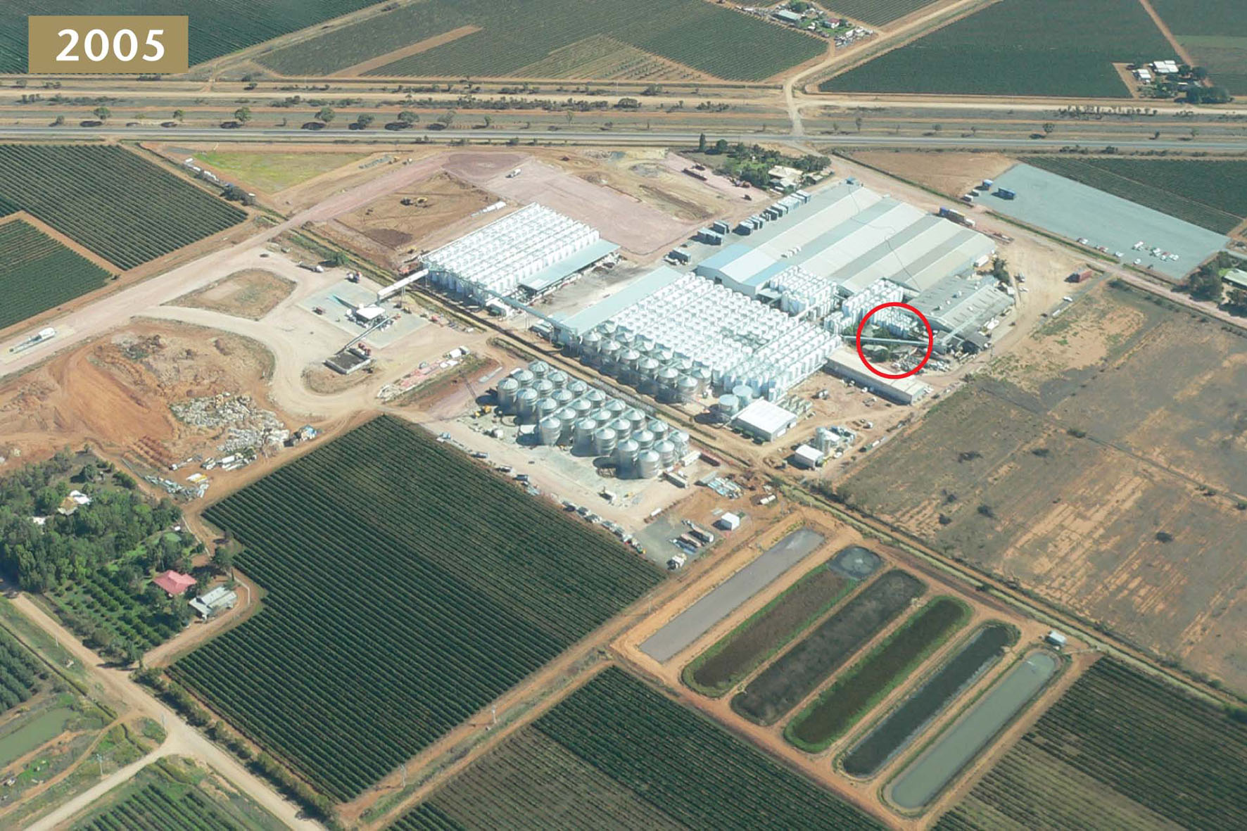 How John Casella built the billion-dollar brand, Yellow Tail