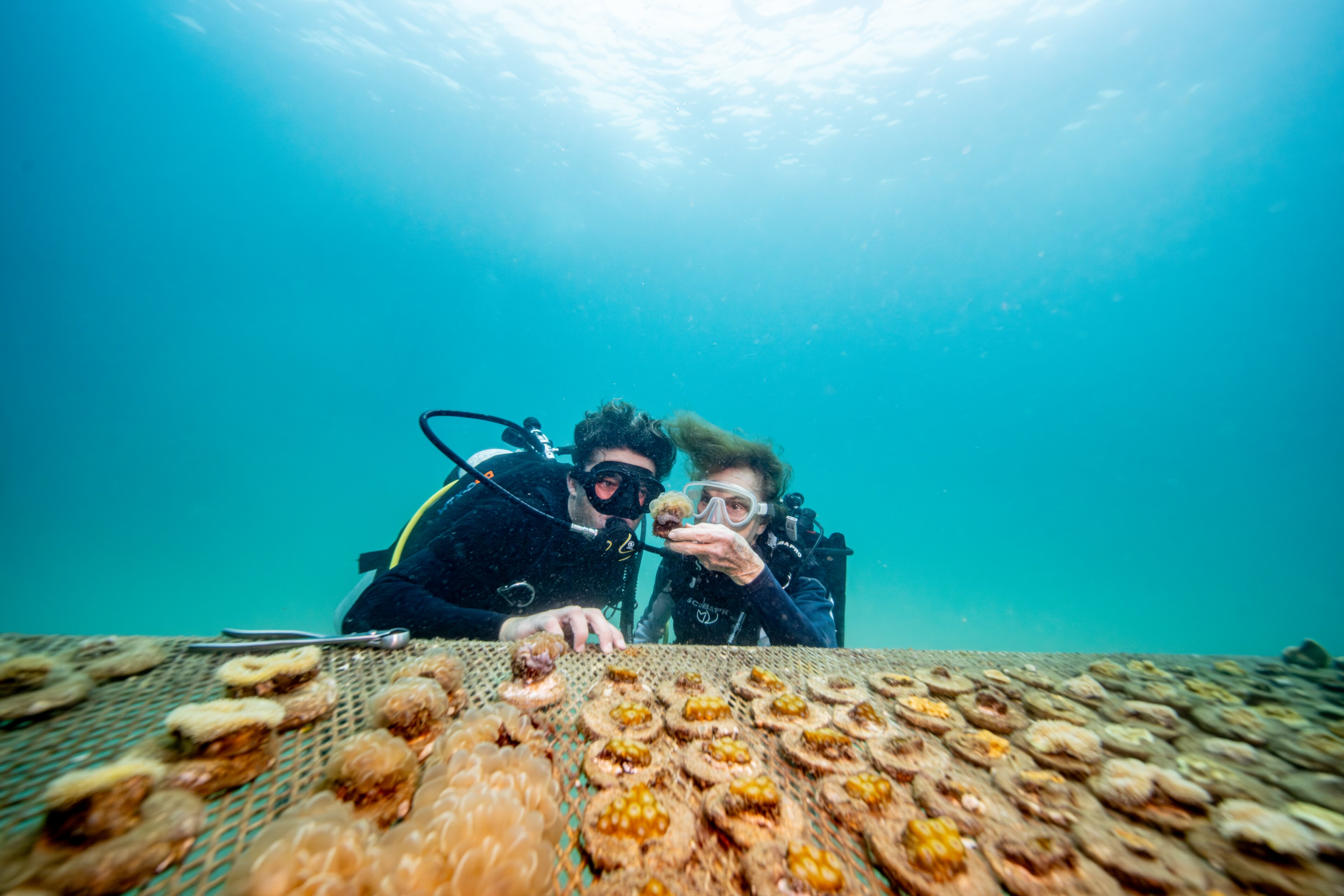 Inside Mission Blue: Sylvia Earle's fight to protect the world's coral ...